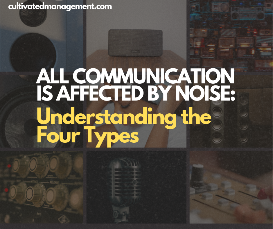 All Communication Is Affected by Noise: Understanding the Four Types