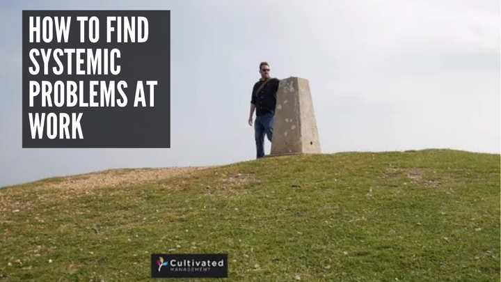 Don’t Ignore These Signs: How to Find Systemic Problems at Work